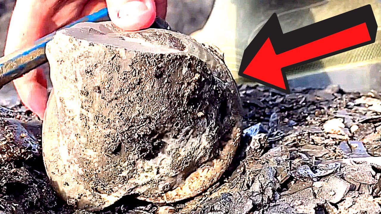CRACKING OPEN FOSSILS! Ammonites, Bone and Fish Fossil Hunting - YouTube