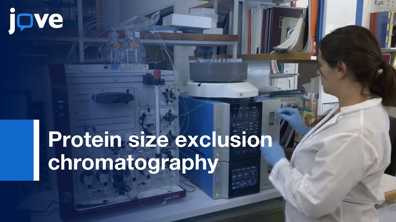 Size-Exclusion Chromatography (SEC-MALS) For Protein Characterization ...