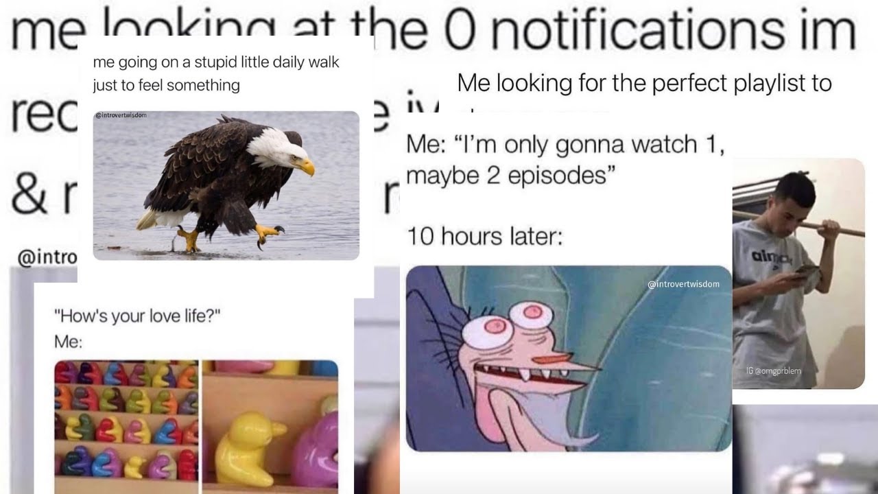 Relatable 2021 Introvert Memes (HAPPY 2022! 🥳🥳) - YouTube