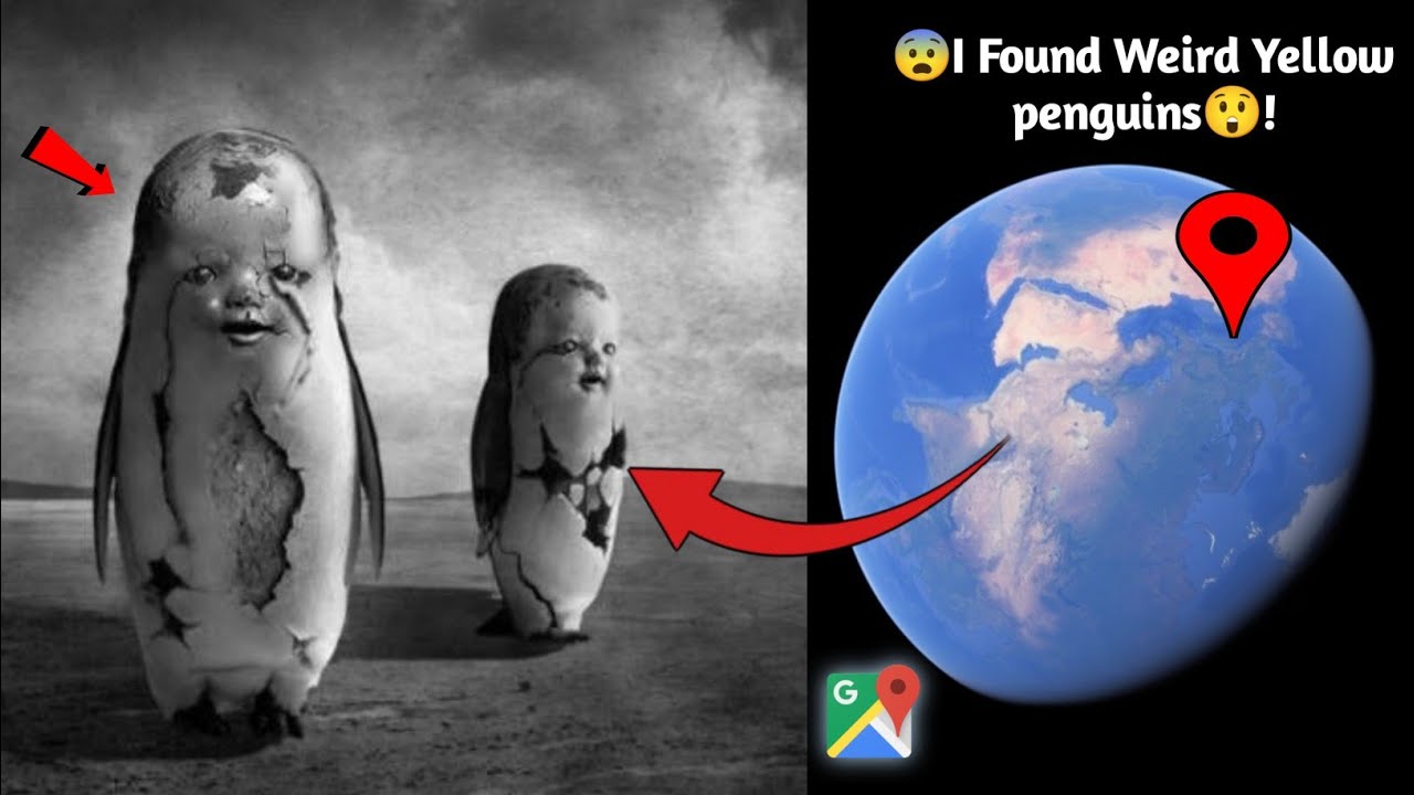 I Found weird yellow penguins in the Real on the Google Earth😨 - YouTube