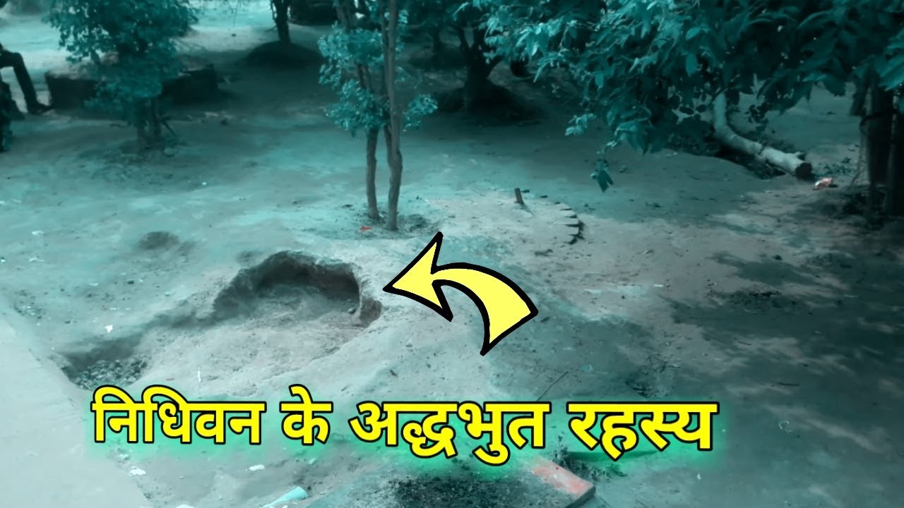 All Secrets Of Nidhivan Vrindavan Night - YouTube