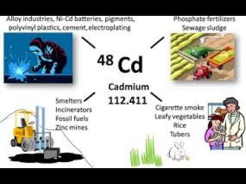 Cadmium Poisoning; Sources of Cadmium Exposure, Symptoms, Chronic ...