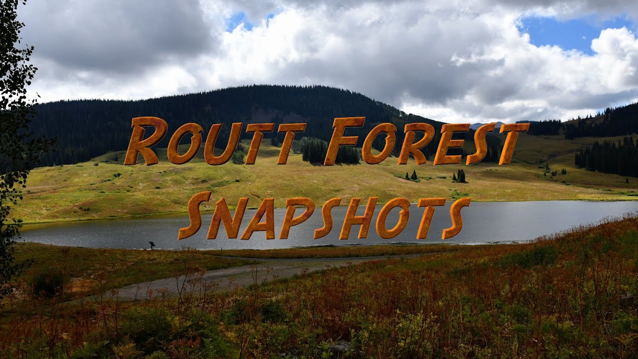 Routt Forest Snapshots - YouTube