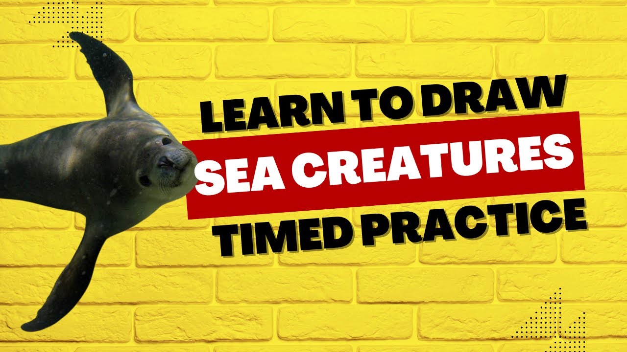 Practice Drawing FISH | Timed Drawings 2 Min Intervals - YouTube
