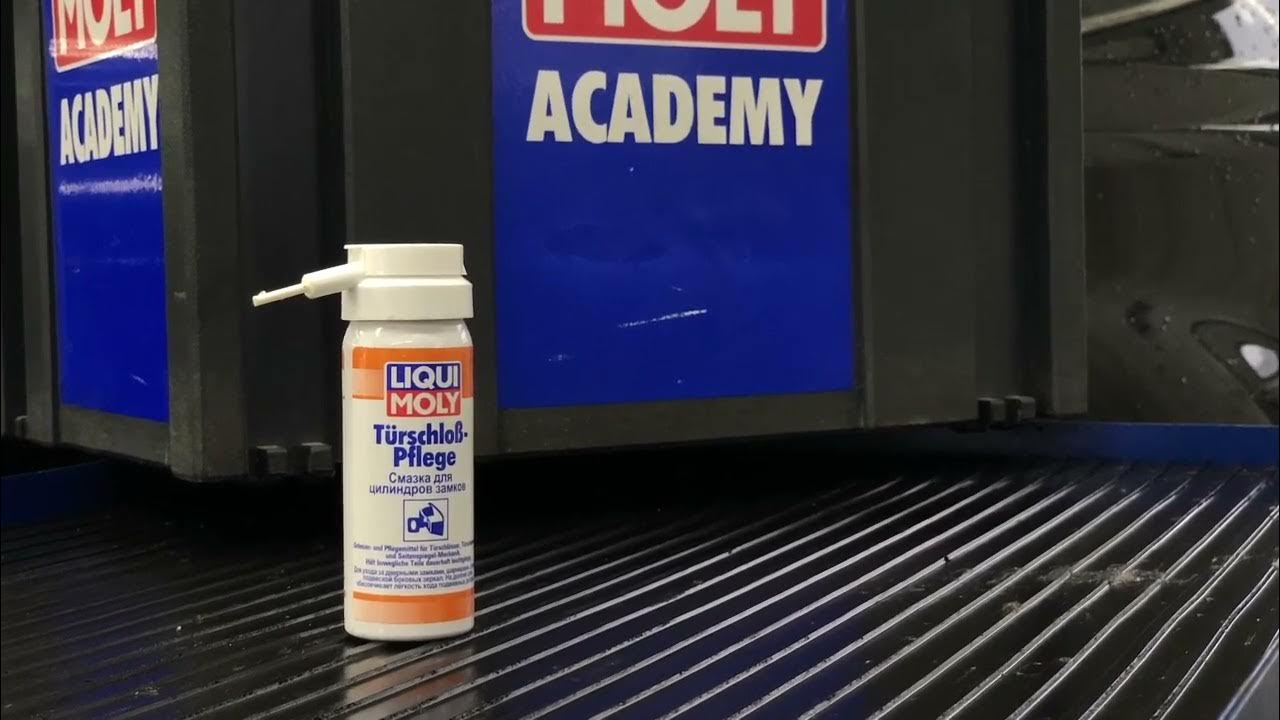 Смазка личинок замков Liqui Moly Turschloss-Pflege (арт. 1528) - YouTube