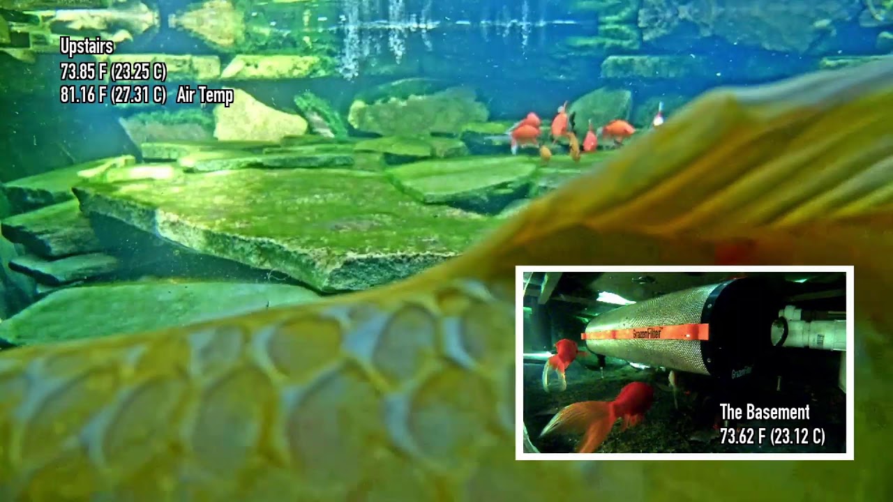 Pond with a Basement - YouTube