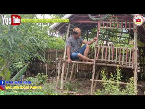 WAK UDIN KOCAK NASiB BADAN