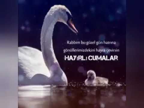 telifsiz ilahi muzukleri HAYIRLI CUMALAR 🕋❤