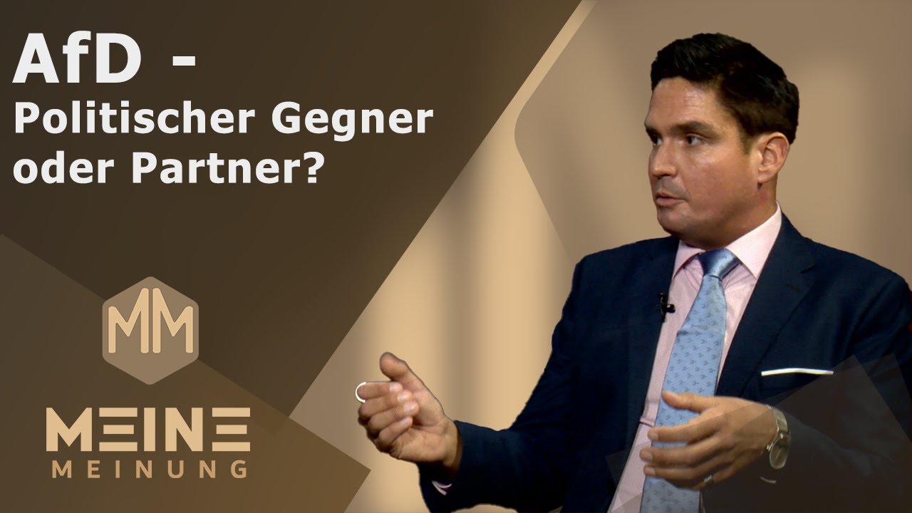AfD Politischer Gegner oder Partner? - YouTube