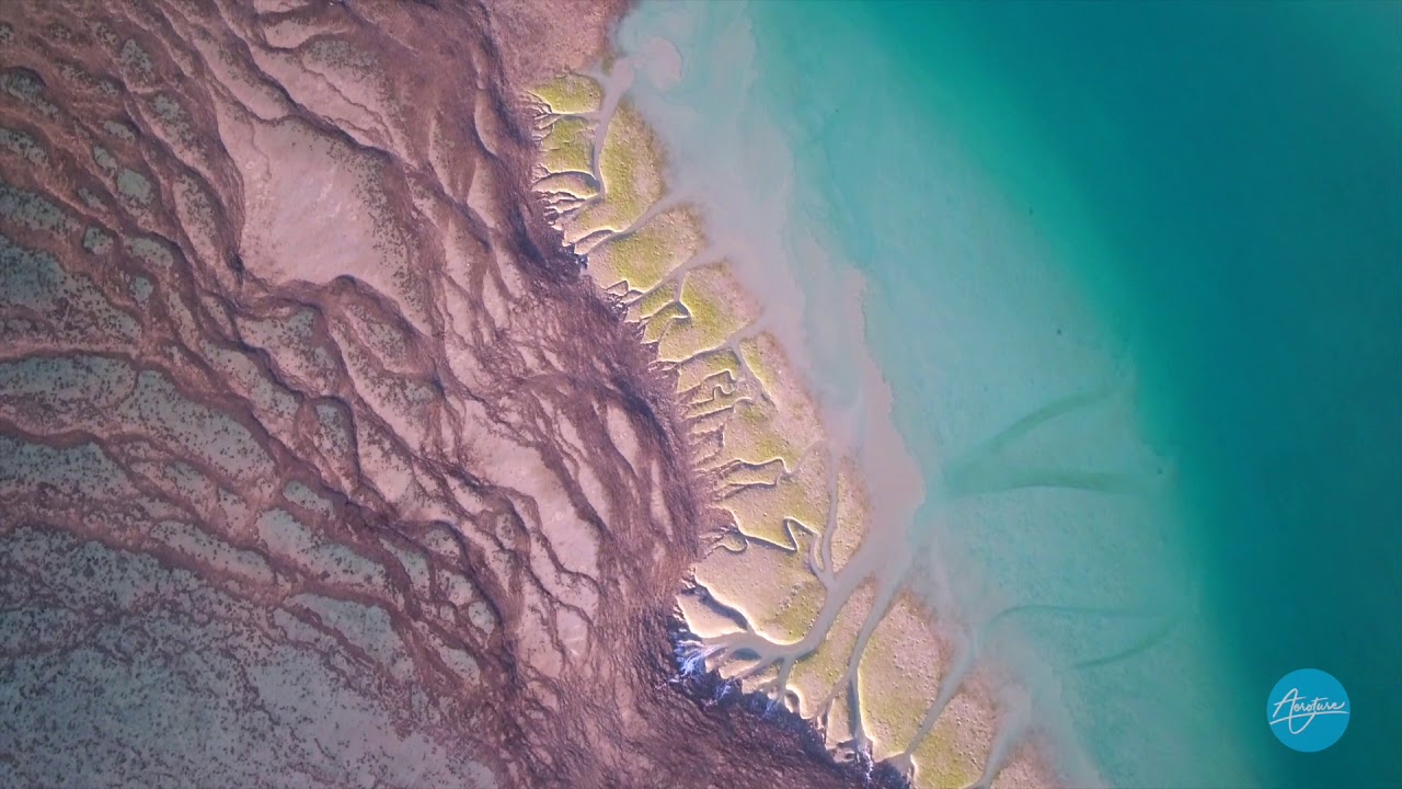 Montgomery Reef - YouTube