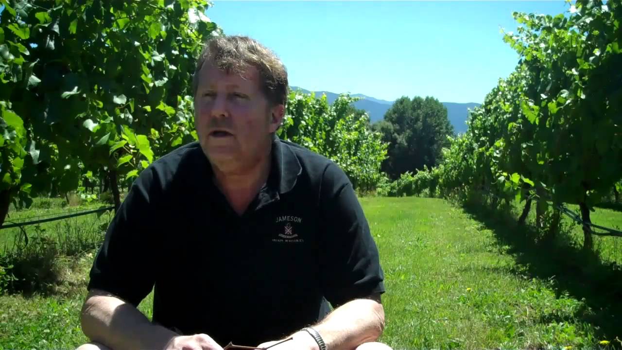 David Rosengarten, USA wine and food writer visits Marlborou - YouTube
