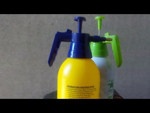 A tool that is often used when cultivating ants