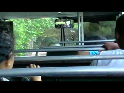 SPTC - bus - YouTube