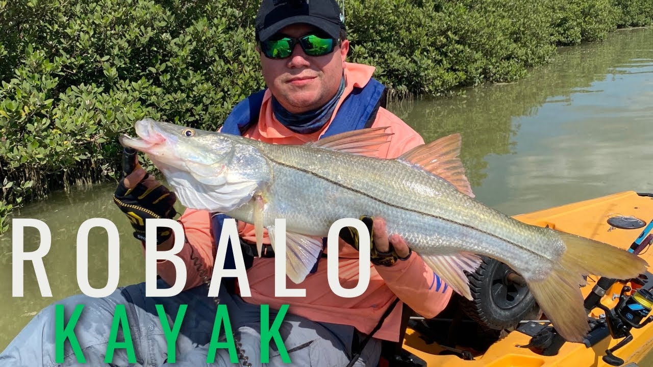 PESCA de ROBALOS CURVINAS y TAMBOR con SEÑUELOS ARTIFICIALES, DESDE ...