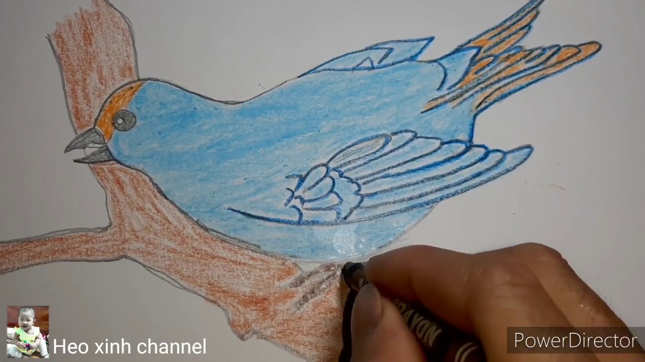 VẼ VÀ TÔ MÀU CON CHIM //.(Draw and color the bird) - YouTube