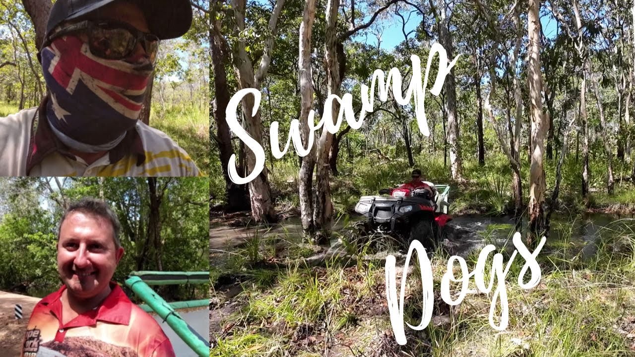 Swamp Dogs - YouTube