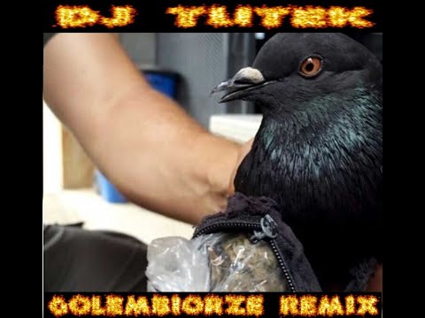 B.A.R. - Gołymbiorze [dj tutek hard remix]