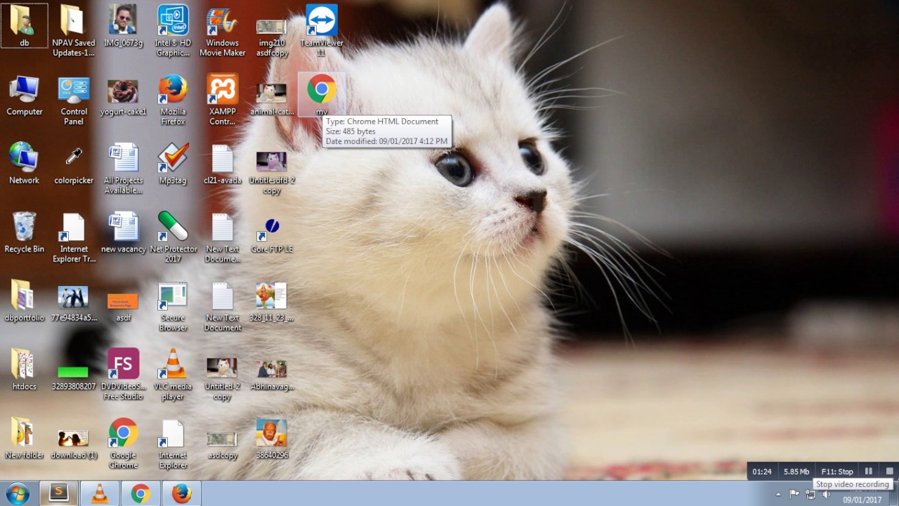 How to make Container, Collapse toggle Button Bootstrap - YouTube