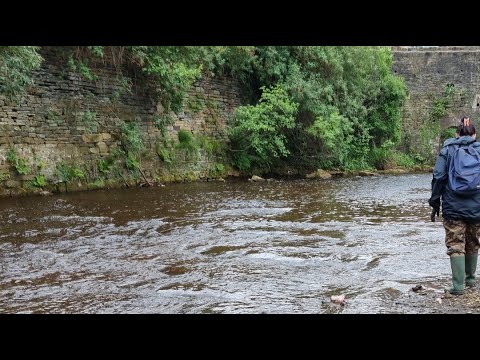Peaky Dippers is live - YouTube