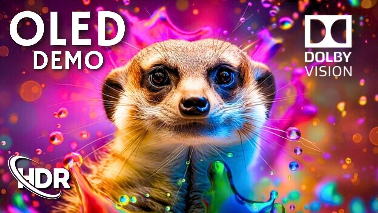 Best OLED Demo: Next-Level Visual Brilliance - YouTube