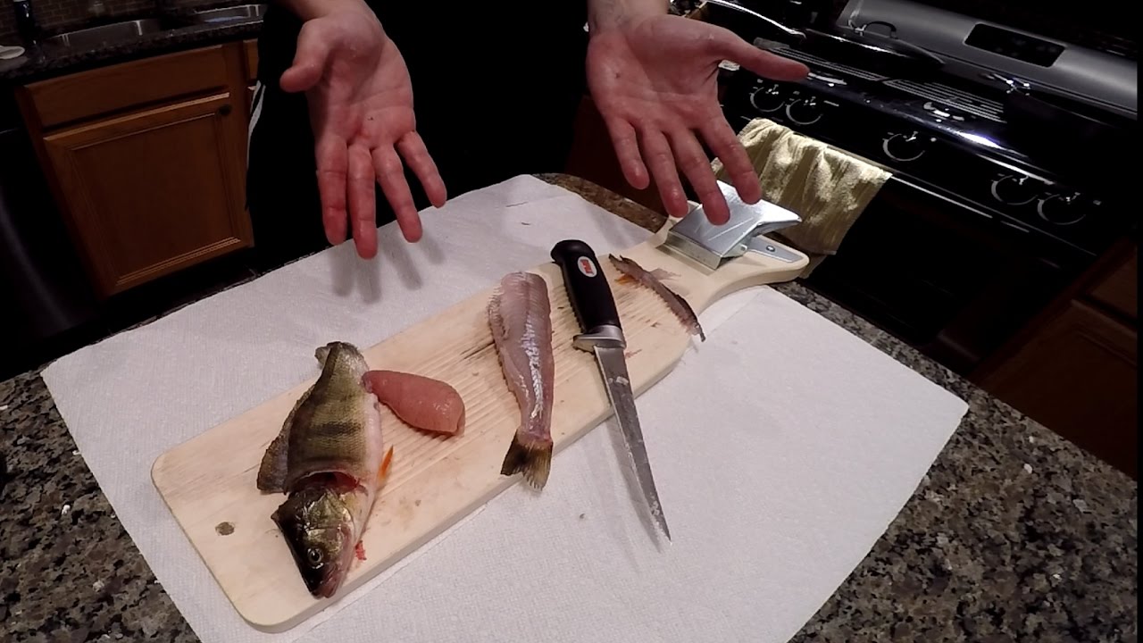 How to clean perch? Super easy, no fish scales around the kitchen - YouTube