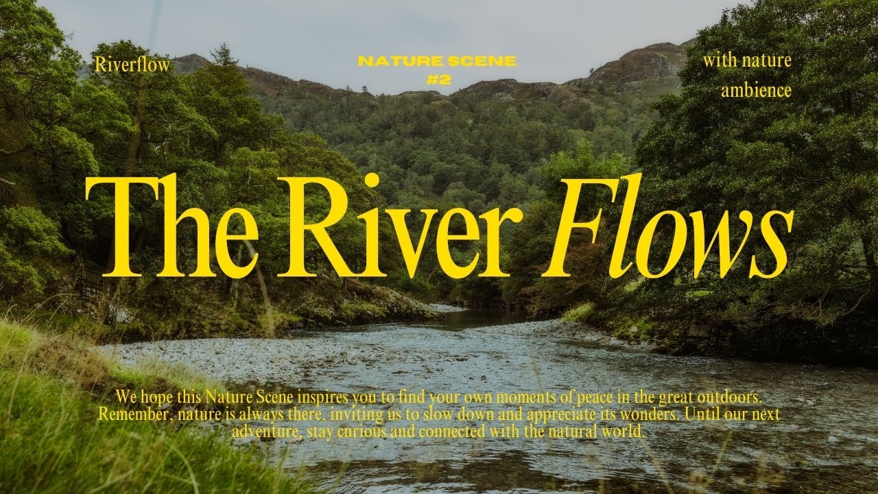 English River Scene: 3 Hours of Focus & Relaxation - 4K Scene & Nature ...