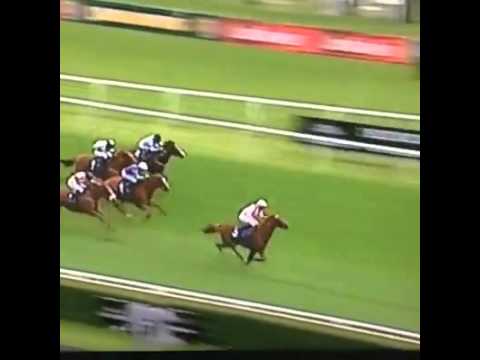 Jockey falls off his horse mid race - YouTube