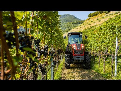 Valtra F-Serie - Spezialmaschine für Spezialaufgaben
