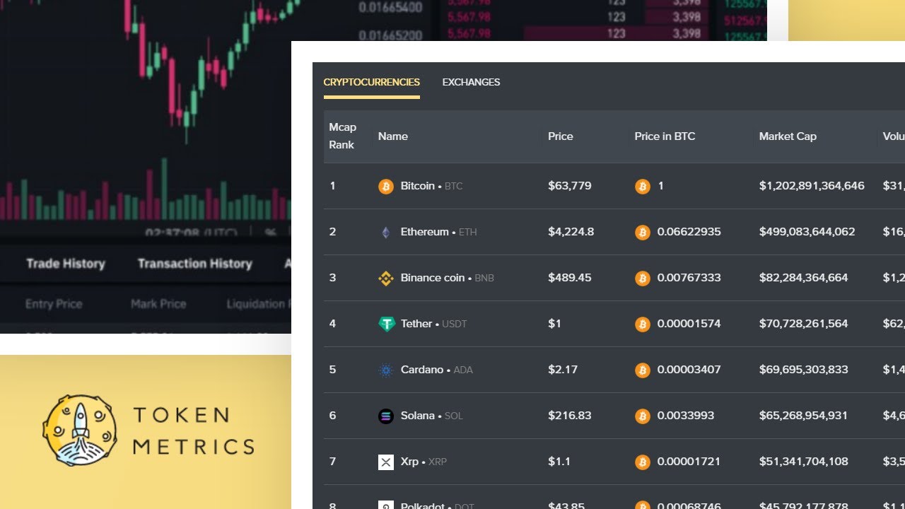 Ian Balina Walking You Through the New Token Metrics Platform | All the ...