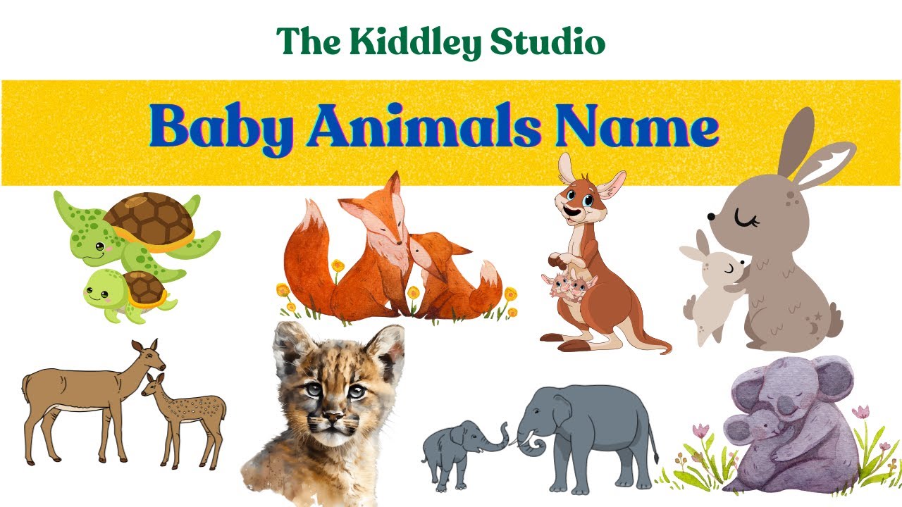 Baby Animals Name and sounds I Animals Babies I The Kiddley Studio # ...