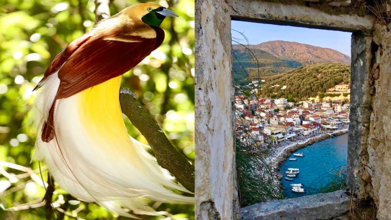 LEGJENDA SHQIPTARE E GJONIT - YouTube