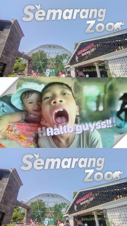 Semarang zoo #vlog #semarangzoo #semarangexplore #shorts - YouTube