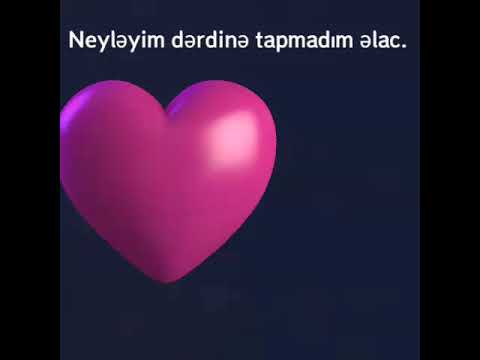 Ramiq Arda İlqar qardaş