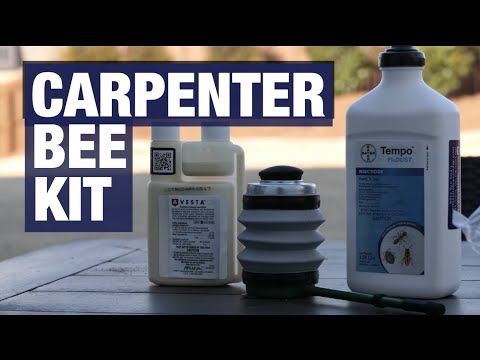 Do It Yourself Pest Control For Carpenter Bees