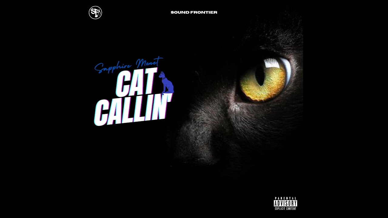 Cat Callin' Lyric Video - YouTube