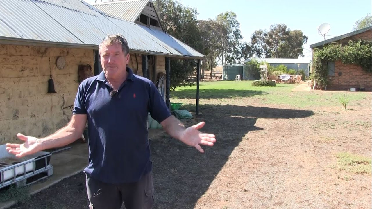 Regenerative Agriculture creates new grazing opportunities on Brendan's ...