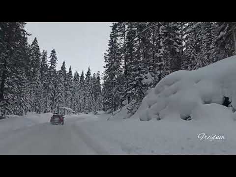 Ayşegül Aldinç - Beni hatırla (90'ların en güzel şarkıları)