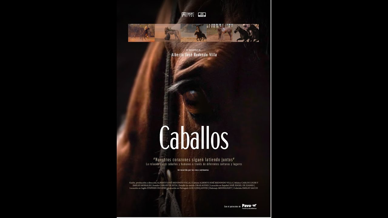 Trailer Caballos - YouTube