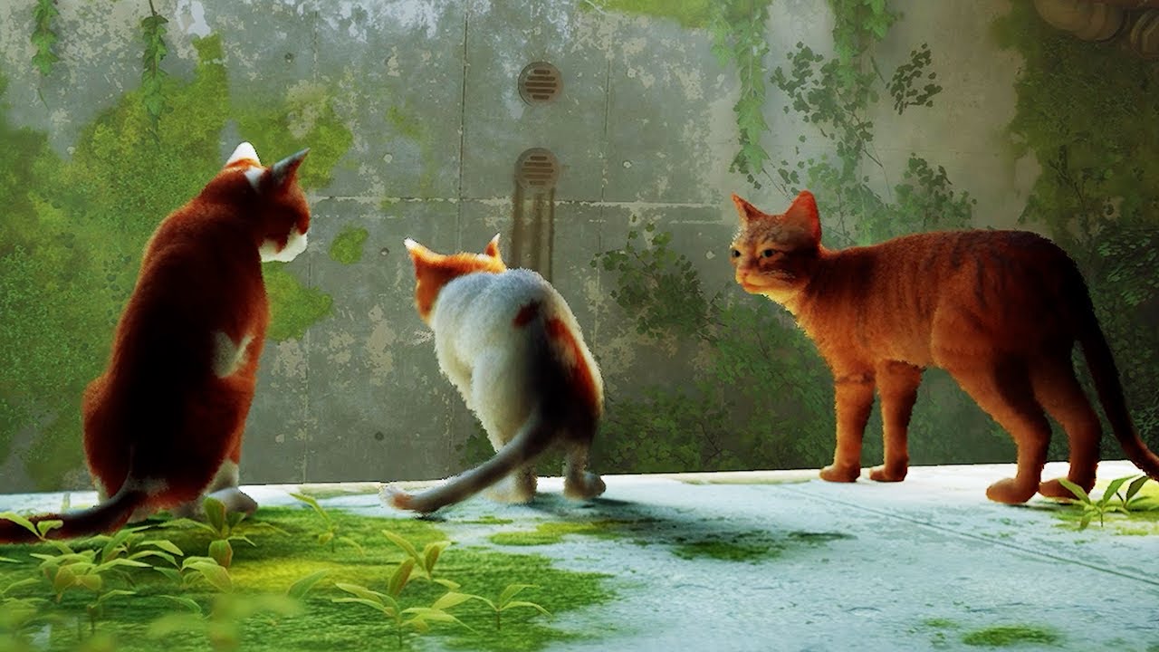 STRAY - Inicio | Intro En Español - YouTube