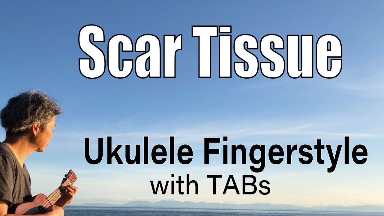 Scar Tissue (Red Hot Chili Peppers) [Ukulele Fingerstyle] Play-Along ...