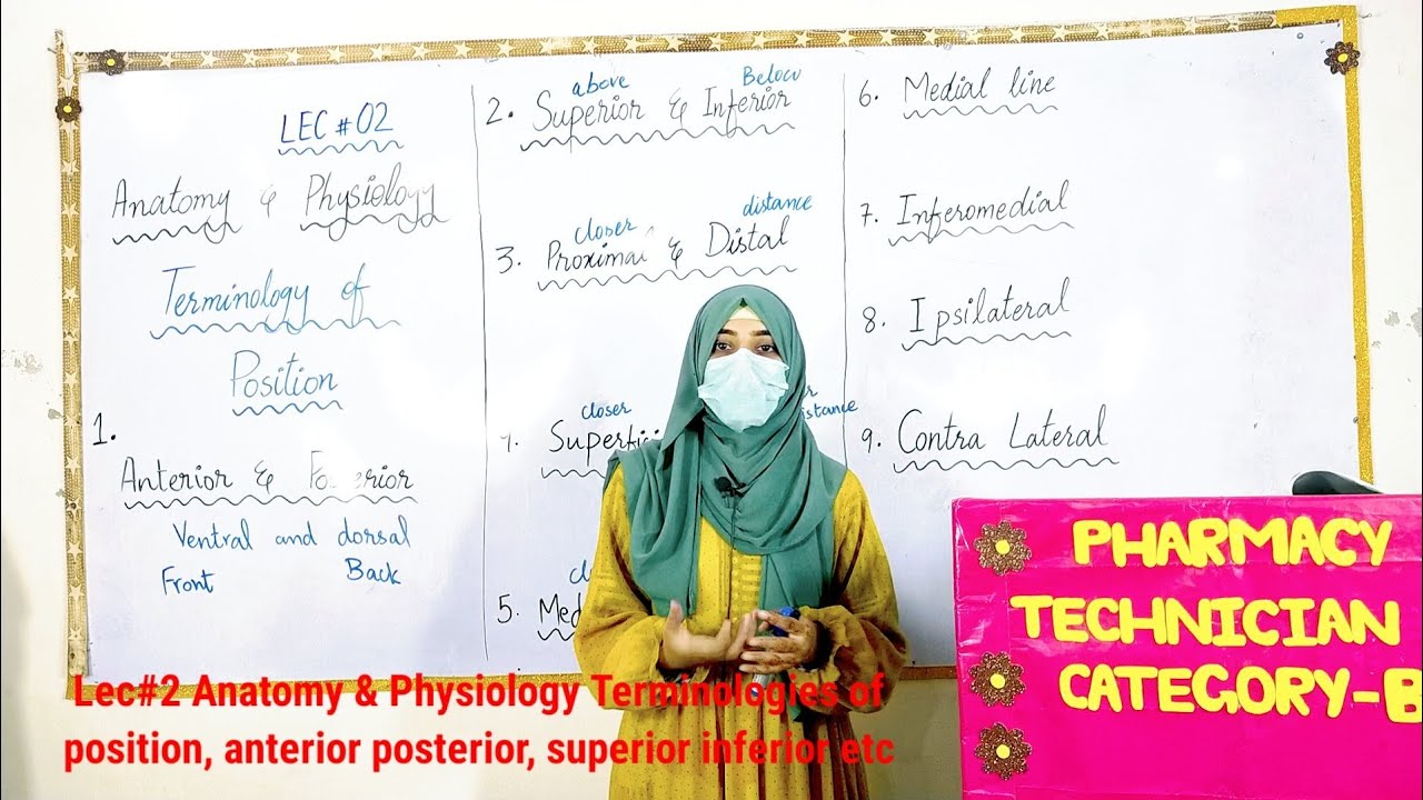 Lec#2 Anatomy terminologies of position, interior posterior / inferior ...