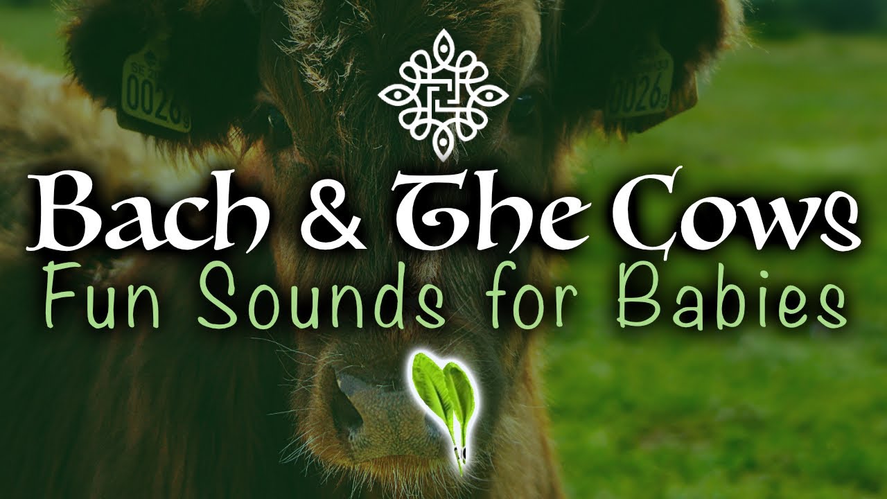 Bach & the Cows • MUSIC FOR BABIES 2H • Sounds for the little ones to ...