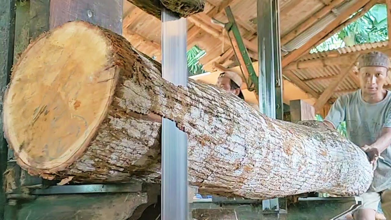 sawing hard acacia logs into pieces of 7×14 frame blocks that are good ...