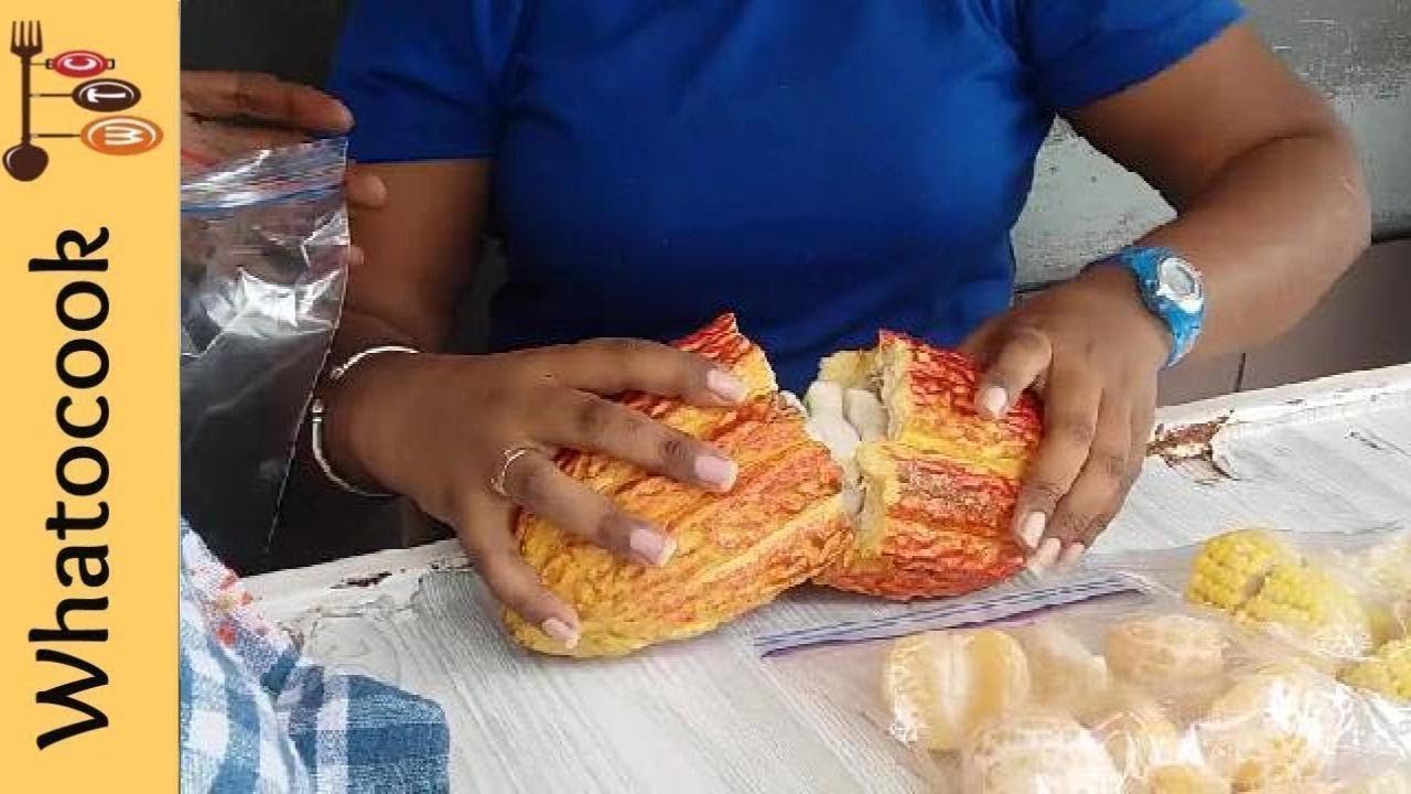 How To Open Cocoa Pod And Eat Cocoa/Cacao Beans | Cocoa/Cacao Beans ...