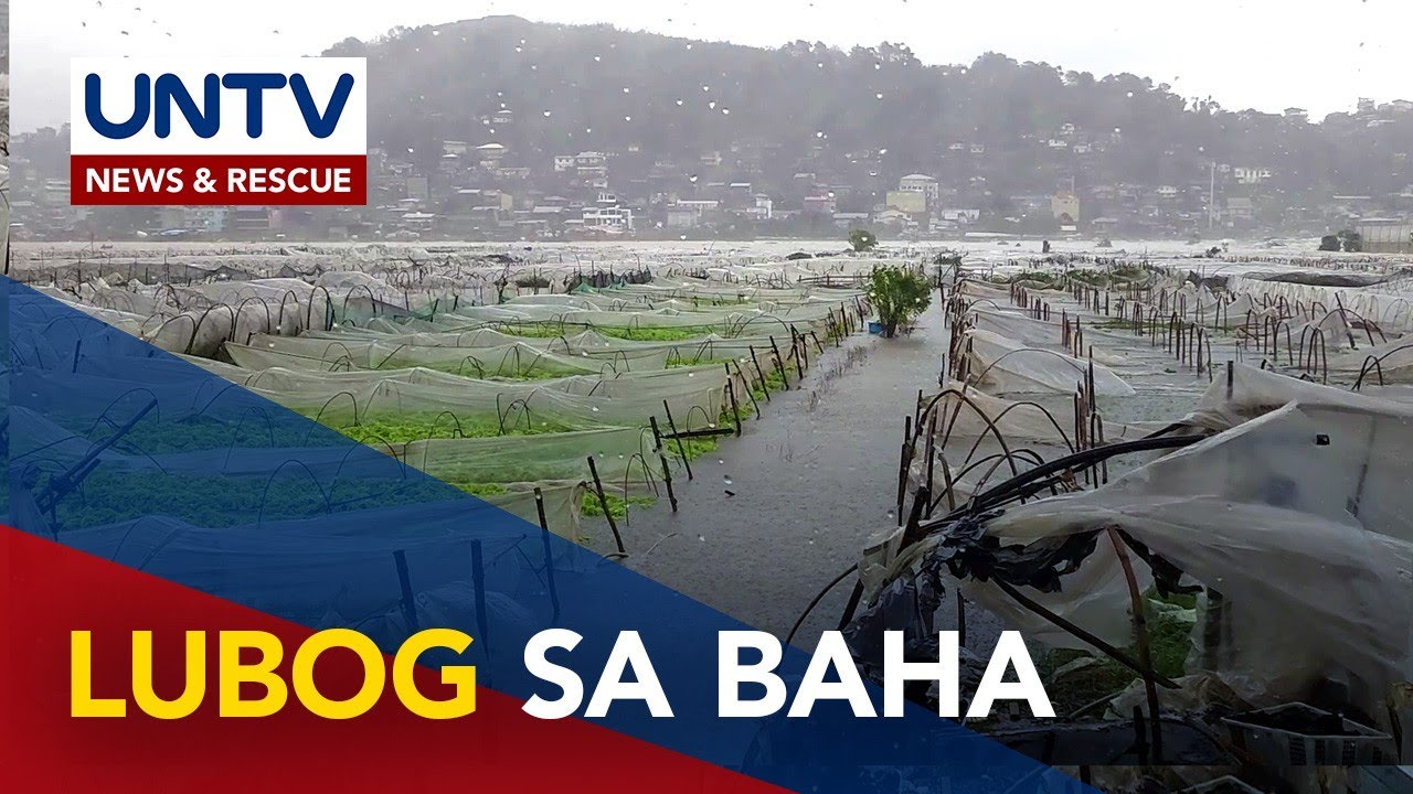 Burnham Park at Strawberry Farm, lubog sa baha - YouTube