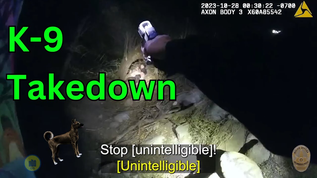 Dramatic K9 Takedown & Arrest after High-Stakes Police Pursuit | LAPD ...
