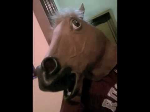 Dramatic Horse Head #1 - YouTube