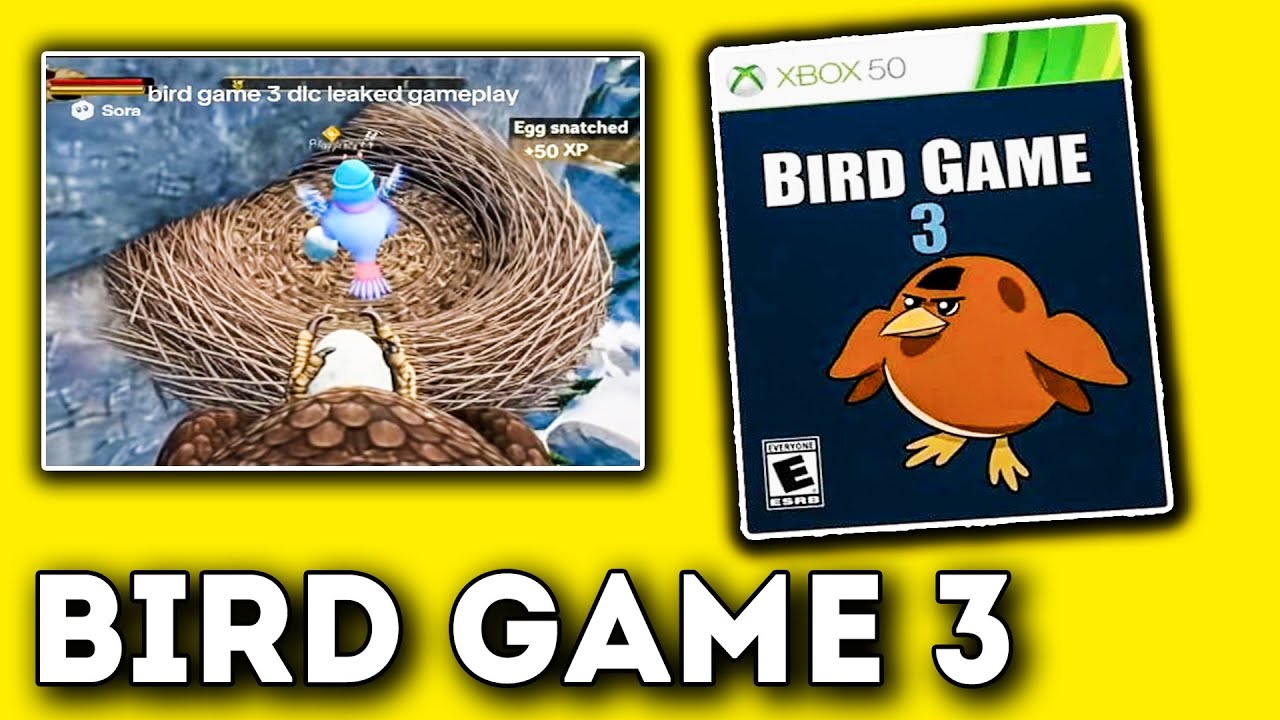 Bird game 3 meme. Explained - YouTube