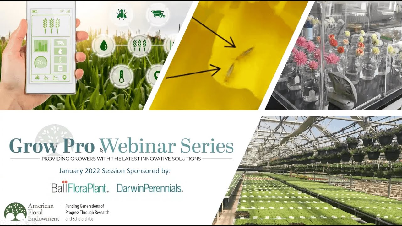 Grow Pro Series: Successful Handling and Propagation of Unrooted ...