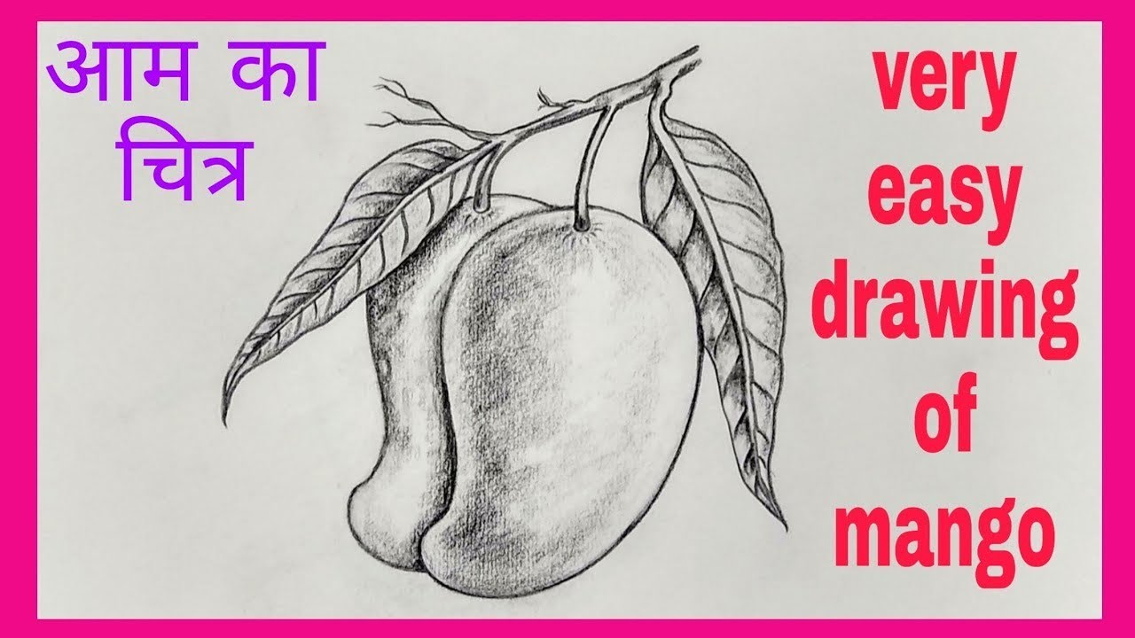 आम का चित्र कैसे बनाएं। Memory drawing of Mango. how to draw mango step ...